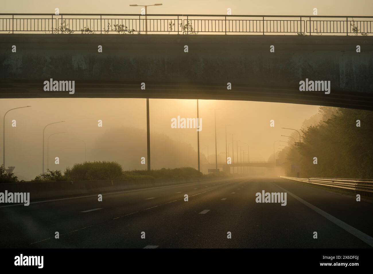 Sun try to break trough the morning fog on the highway | Le soleil ...
