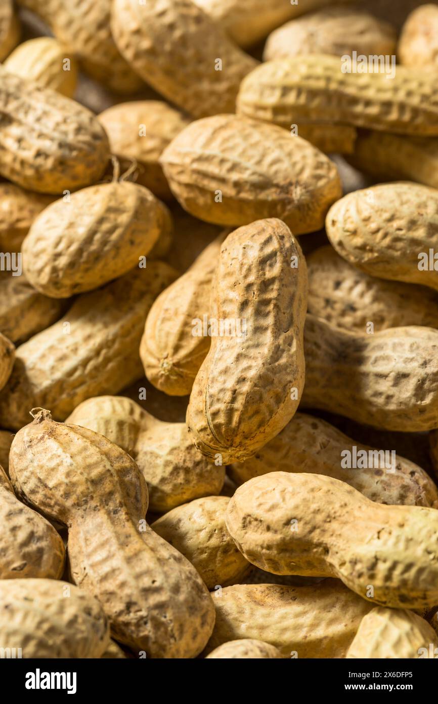 Raw peanuts in bowl hi-res stock photography and images - Alamy