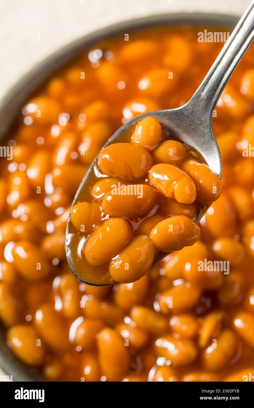 Homemade Barbecue Baked Beans with Tomato Sauce Stock Photo - Alamy