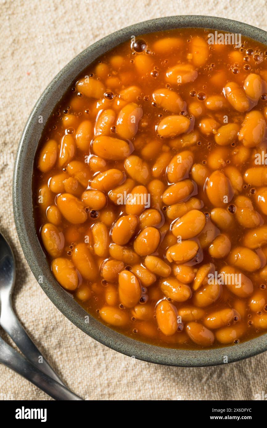 Homemade Barbecue Baked Beans with Tomato Sauce Stock Photo - Alamy