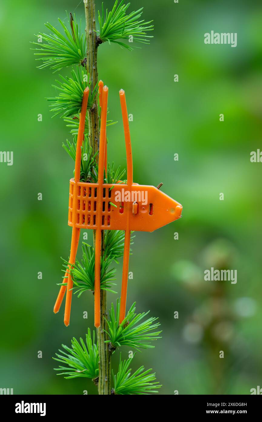 Terminal shoots hi-res stock photography and images - Alamy