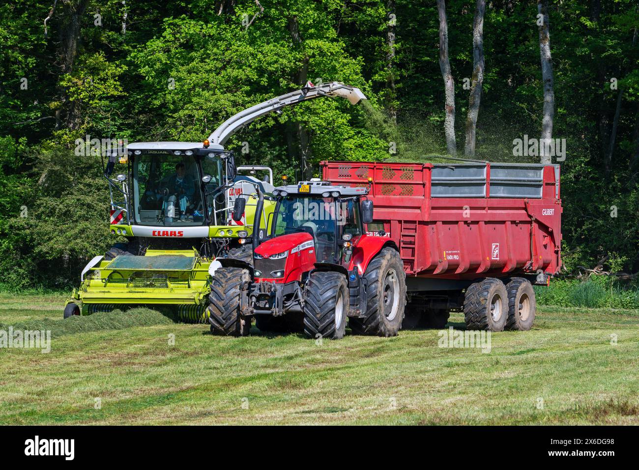 Tractor with trailer running beside Claas Jaguar 870 forage harvester ...