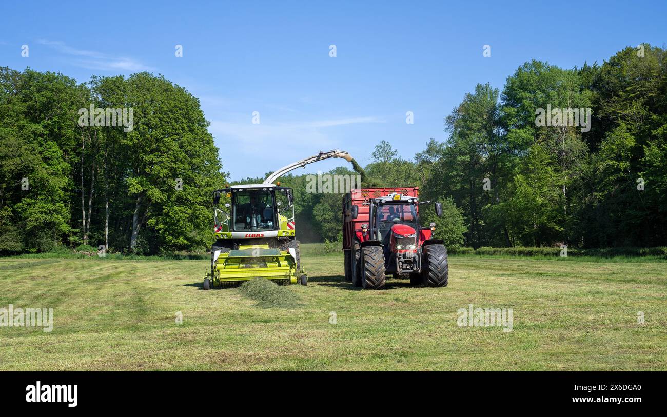 Tractor with trailer running beside Claas Jaguar 870 forage harvester ...