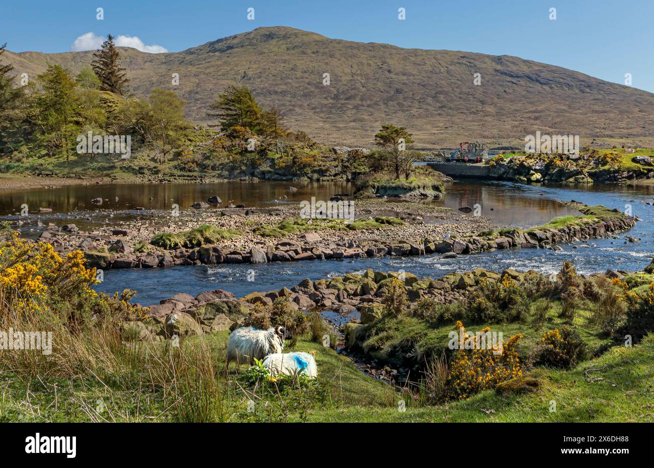 Landscape of a river flowing into an Irish Lough with a small Island ...