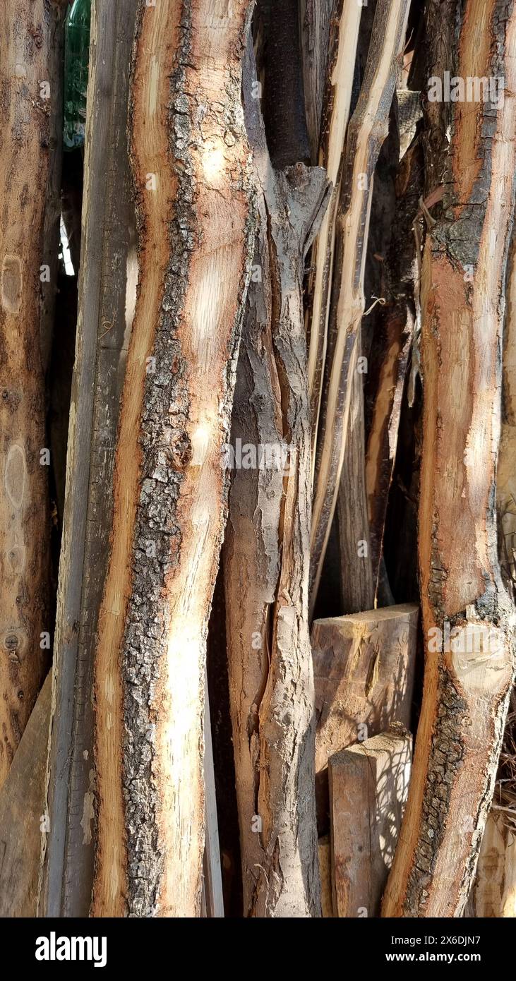 Pine tree poles hi-res stock photography and images - Alamy