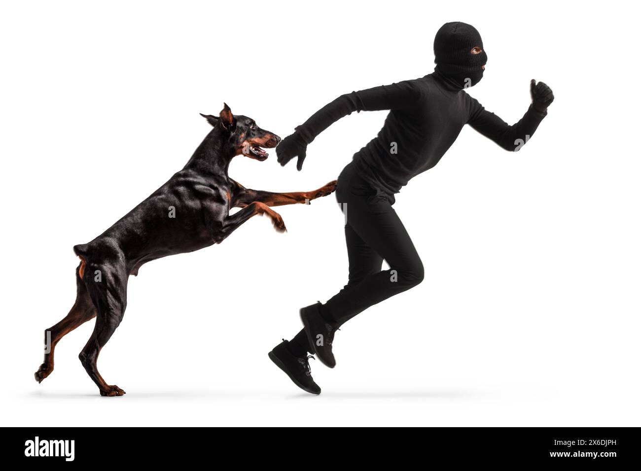 Dog chase man hi-res stock photography and images - Alamy