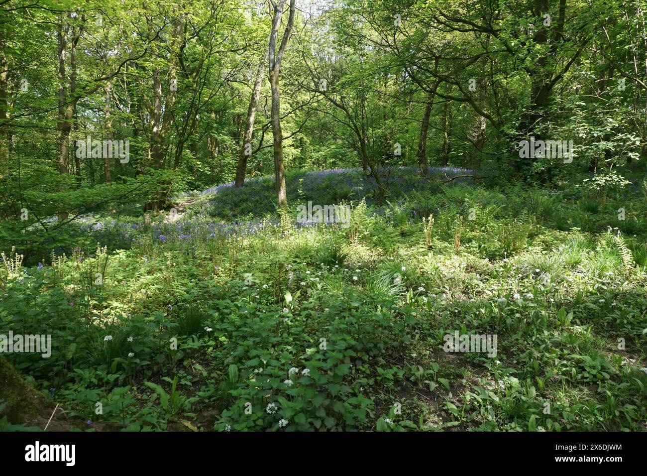 Uk spring weather 2024 hi-res stock photography and images - Alamy