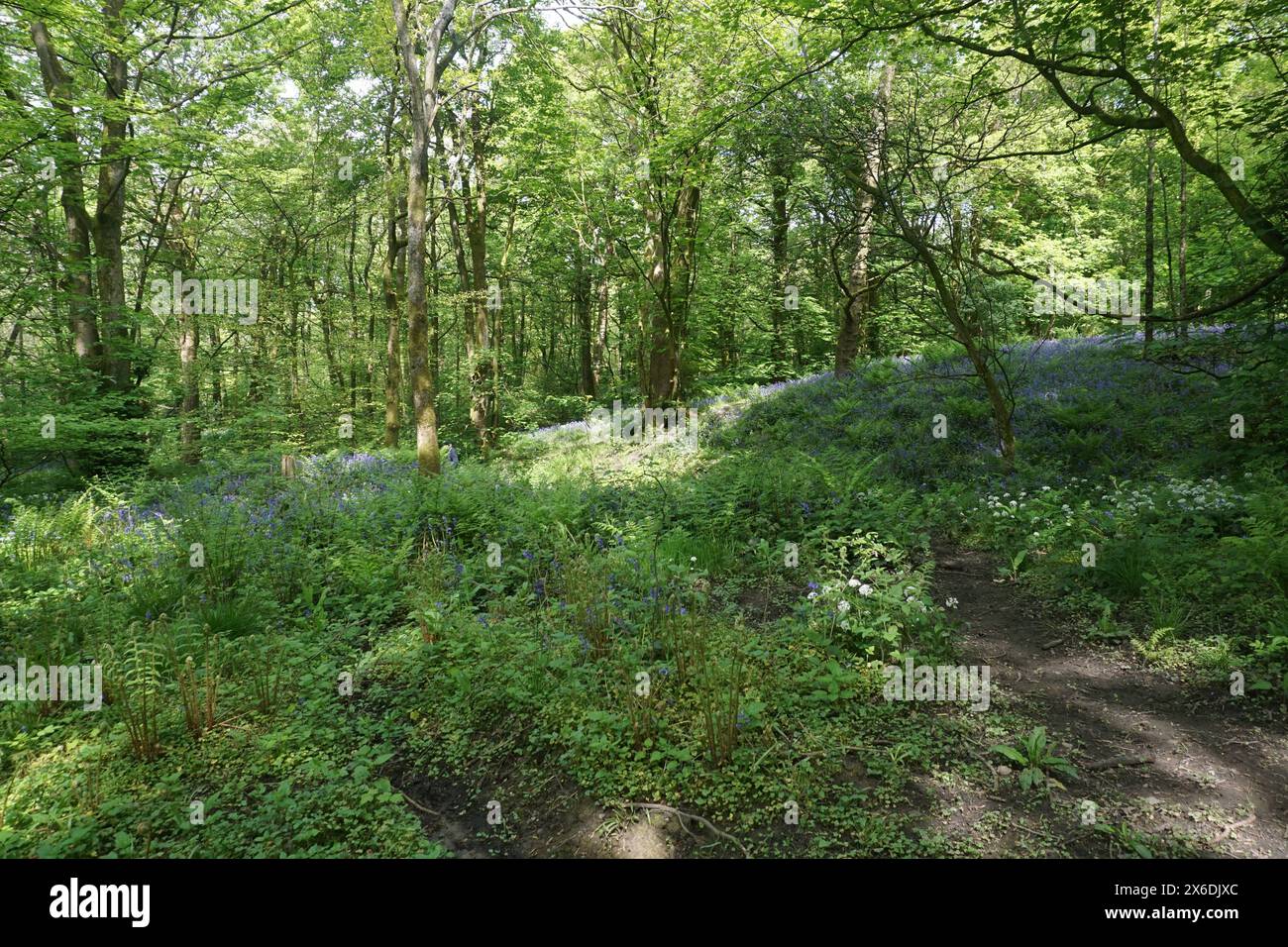 Ribble valley in spring hi-res stock photography and images - Alamy