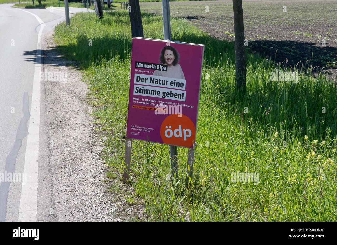 Muenchen GER, Themenbild, Wahlplakate zur Europawahl in Deutschland ...