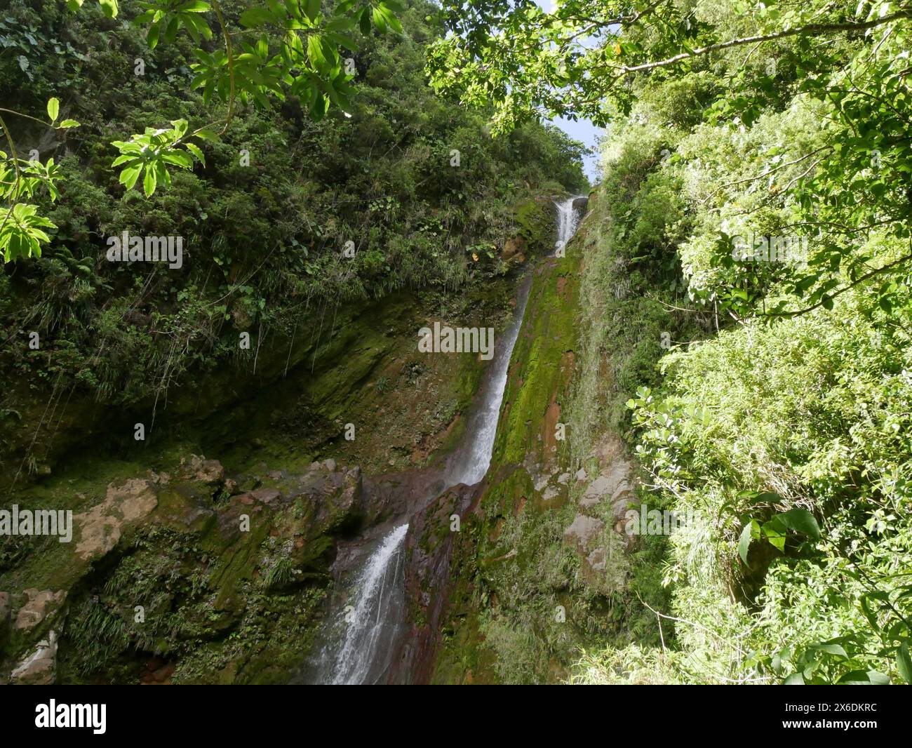 sideview of chute du galion impressive waterfall in guadeloupe Stock ...