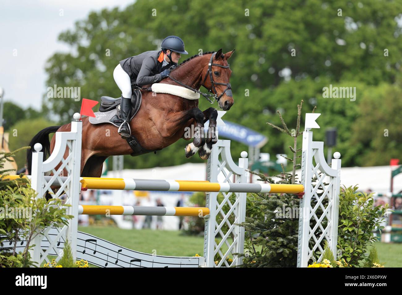 Bubby Upton of Great Britain with Cola during showjumping at Badminton ...