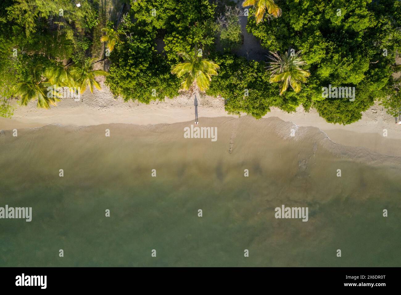 Aerial view of a tranquil beach with lush greenery and palm trees ...