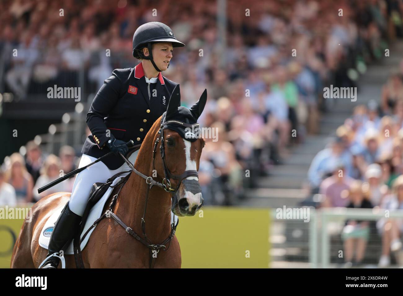Gemma Stevens of Great Britain with Chilli Knight during showjumping at ...