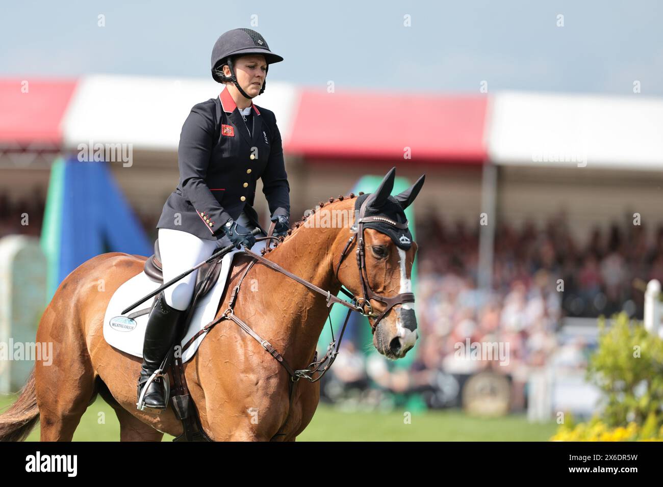 Gemma Stevens of Great Britain with Chilli Knight during showjumping at ...