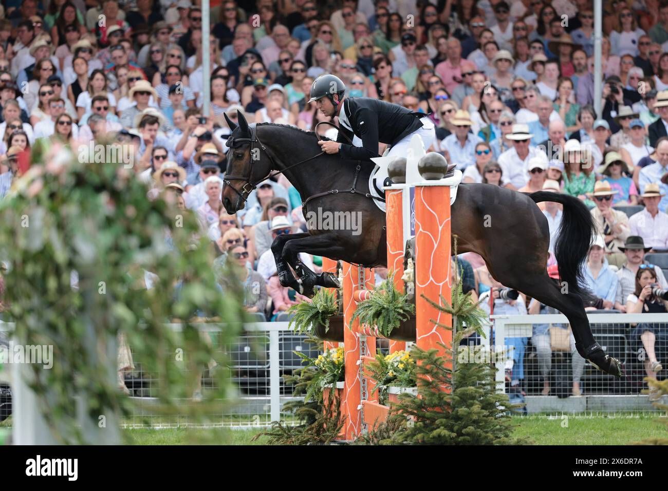 Jesse Campbell of New Zealand with Cooley Lafitte during showjumping at ...