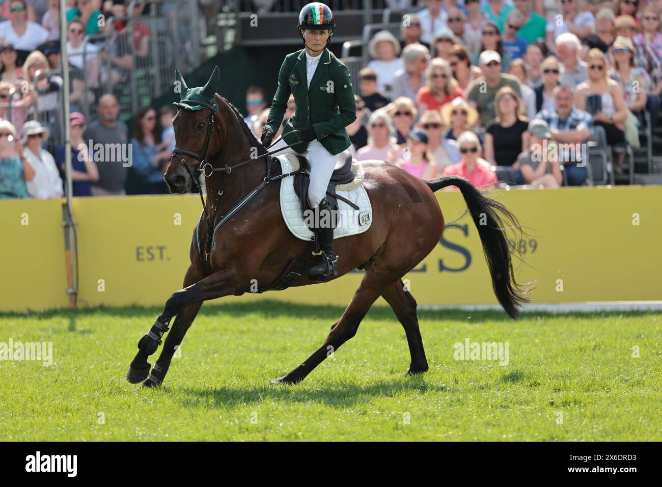Sarah Ennis of Ireland with Grantstown Jackson during showjumping at ...