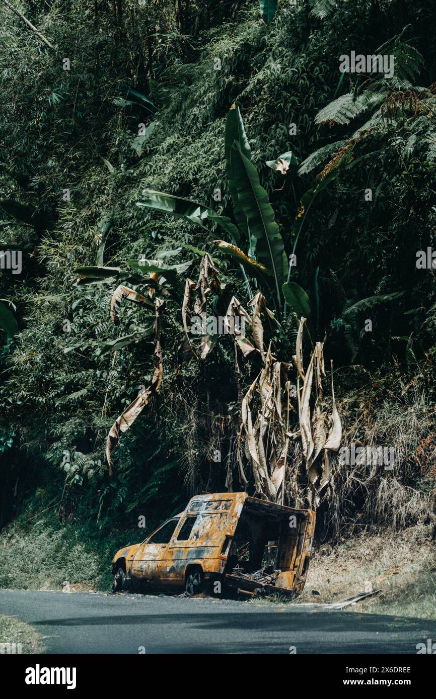 Rusty abandoned car surrounded by lush tropical vegetation on the ...