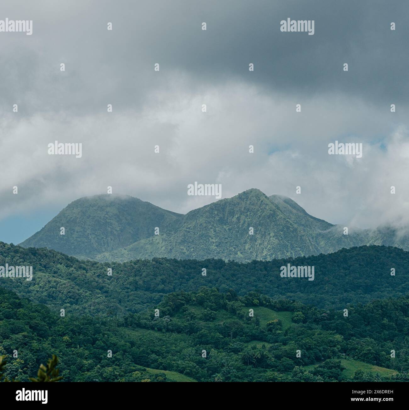 A stunning view of the lush green mountains of Martinique under a ...