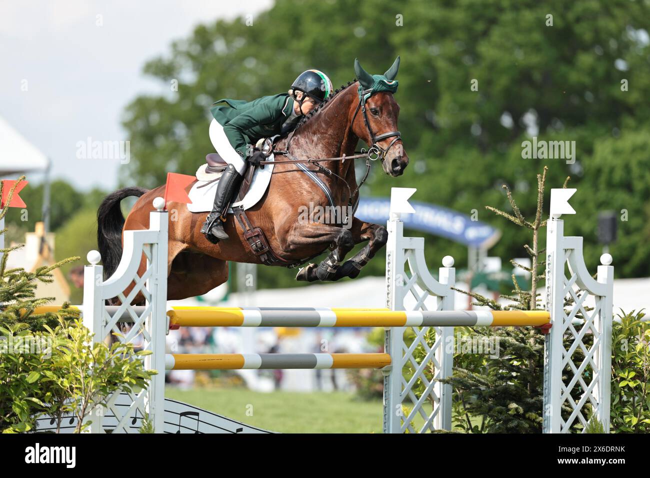 Sarah Ennis of Ireland with Grantstown Jackson during showjumping at ...
