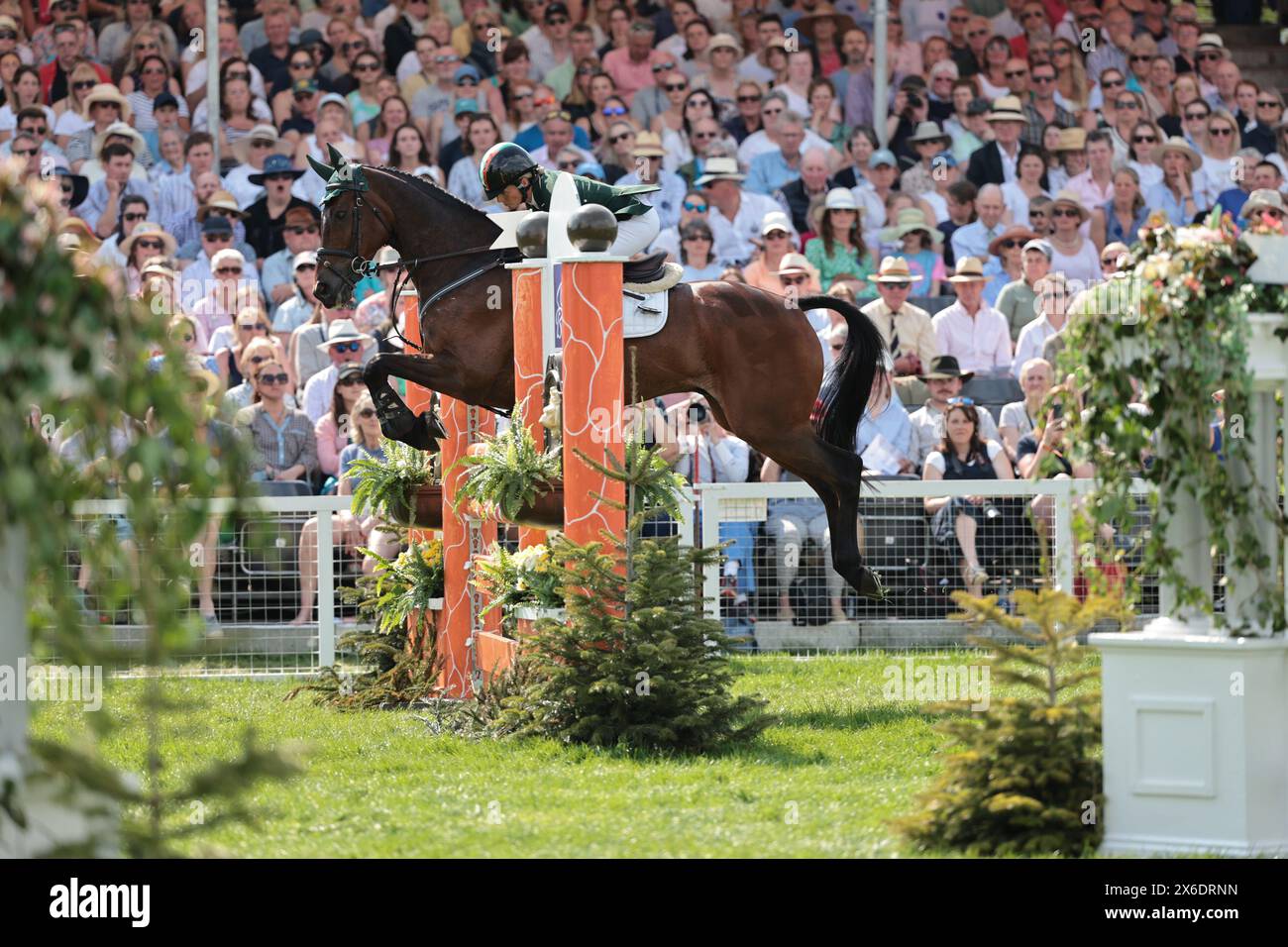 Sarah Ennis of Ireland with Grantstown Jackson during showjumping at ...