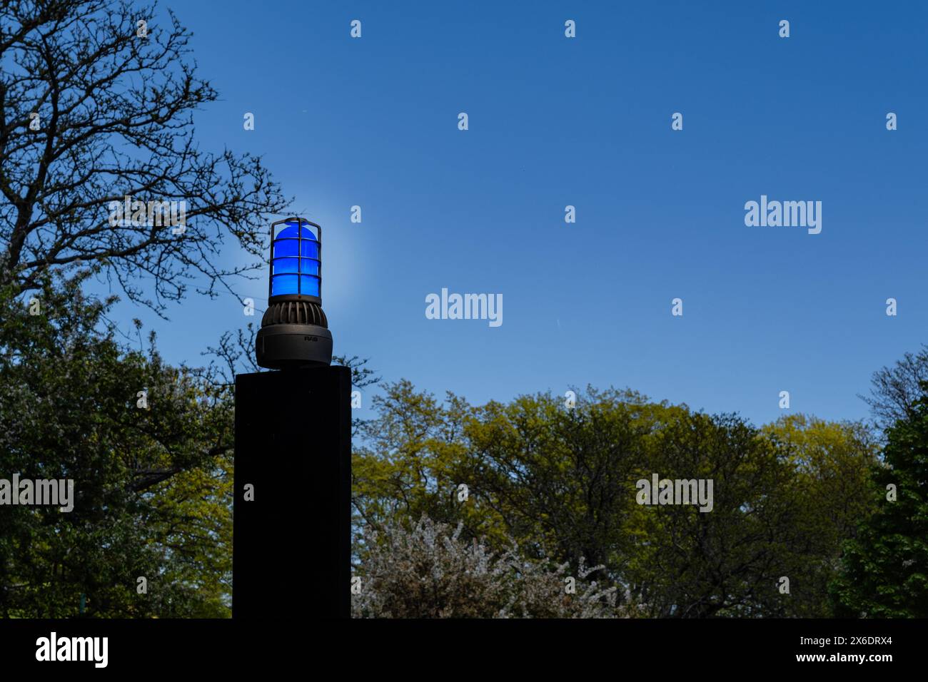 Emergency blue light on college campus at night with copy space on ...