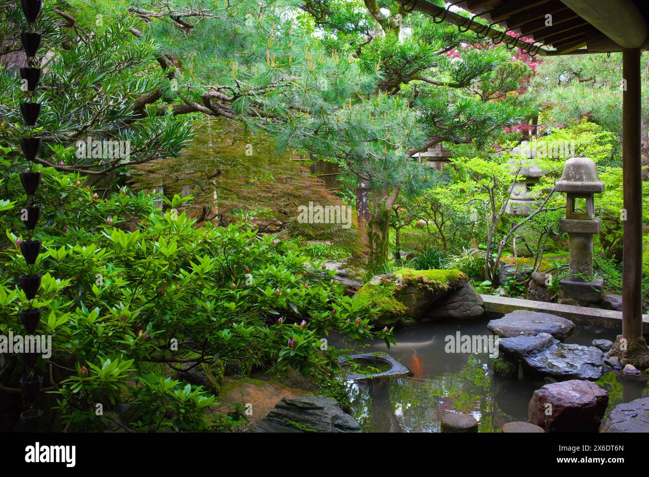 Japan, Kanazawa, Nagamachi, samurai district, Nomura House, garden ...