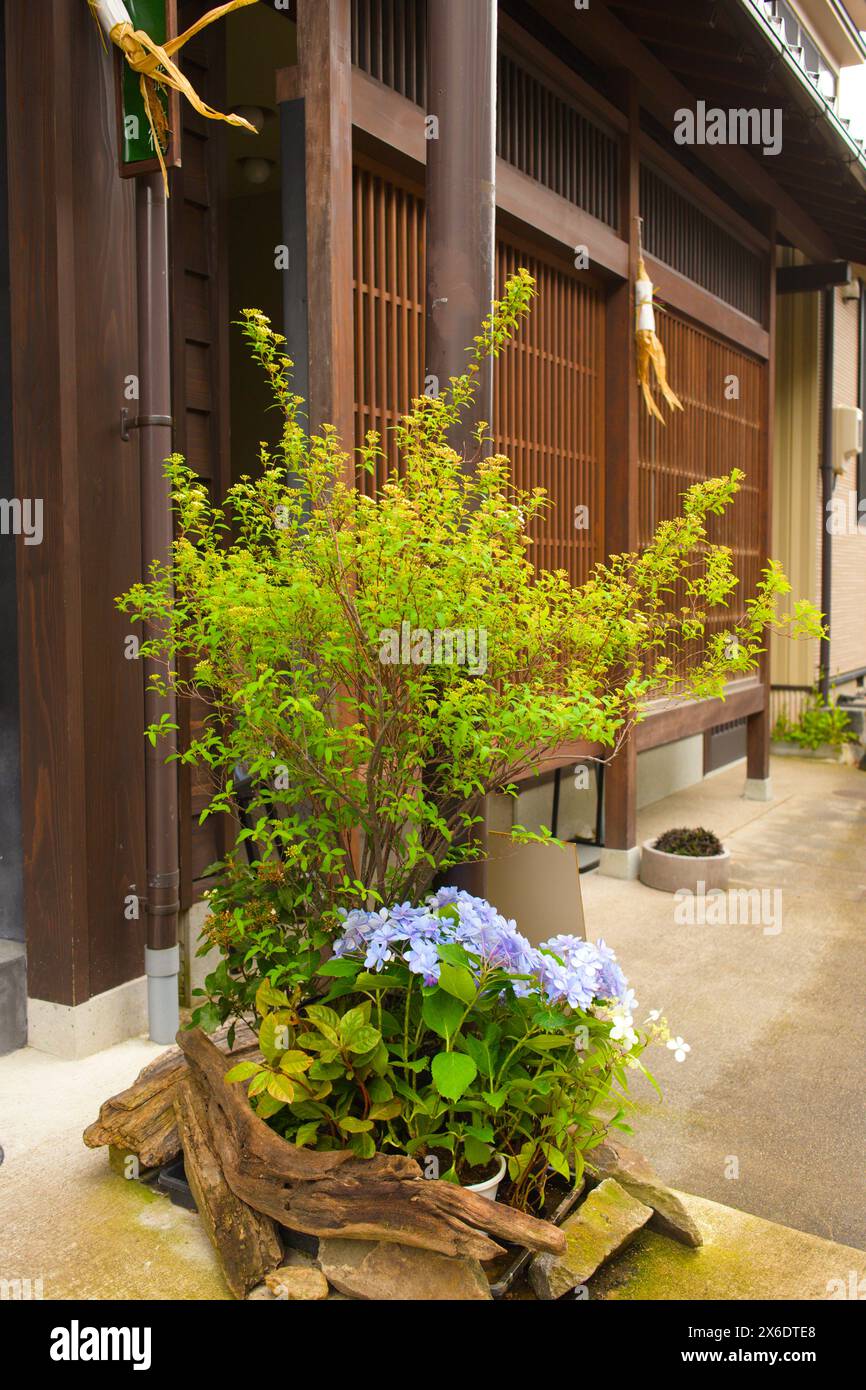 Japan, Kanazawa, Higashi Chaya District, geisha area Stock Photo - Alamy