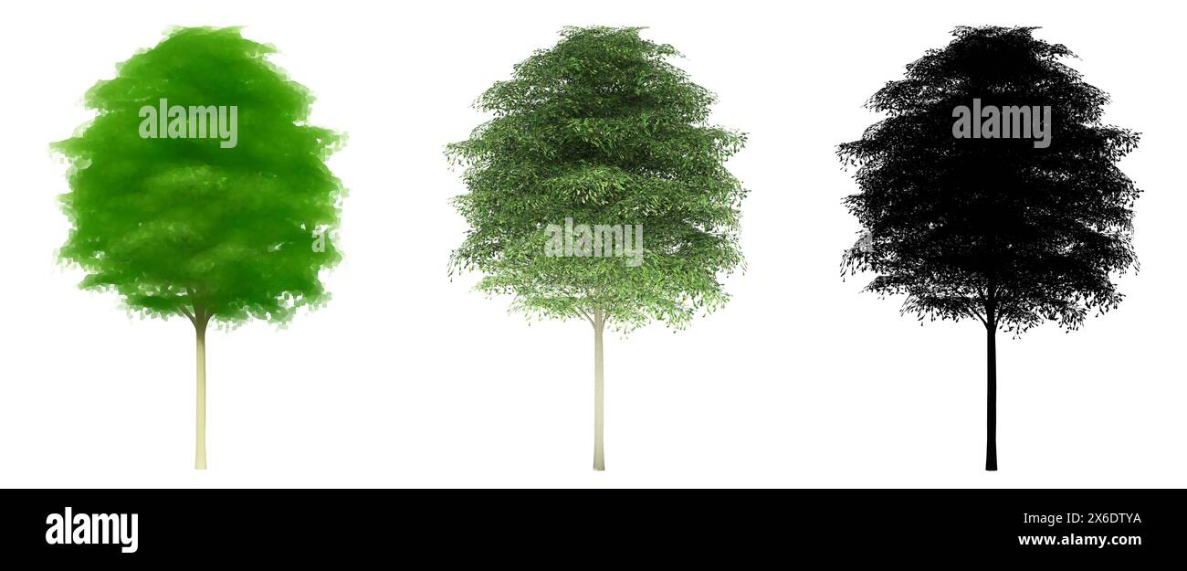 Set or collection of Bur Oak trees, painted, natural and as a black ...