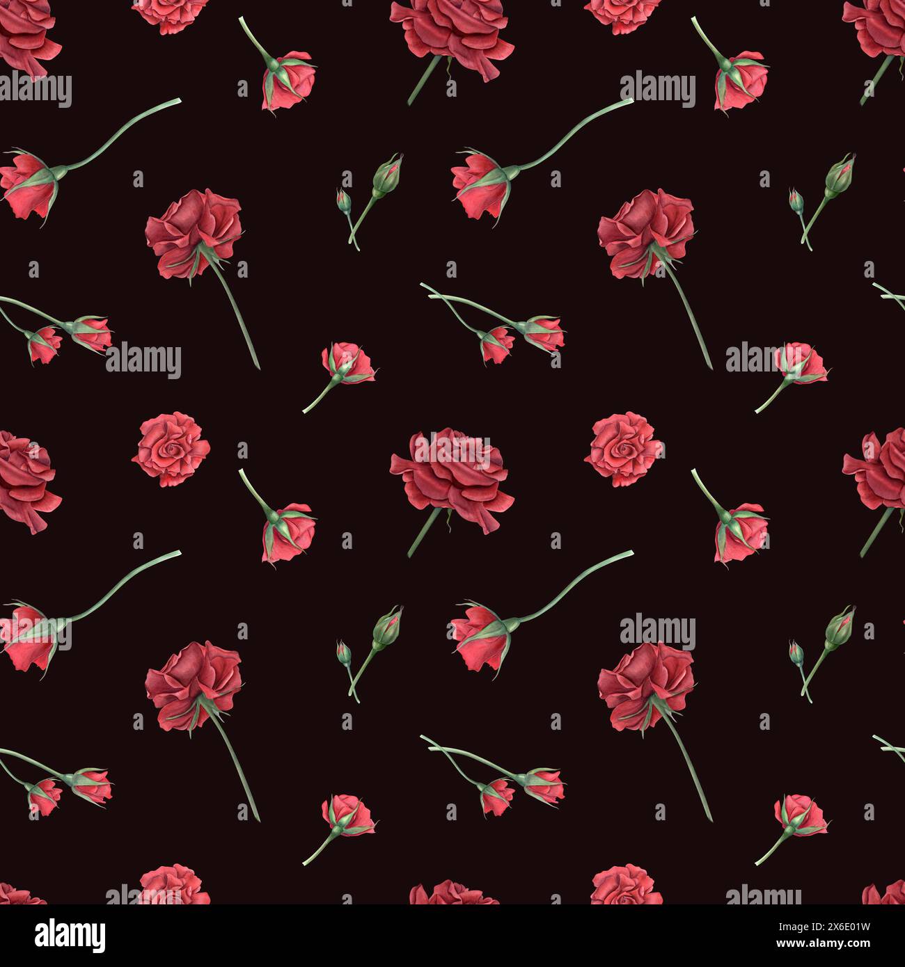 Rose with buds on stem. Deep red, scarlet roses. Seamless pattern of ...