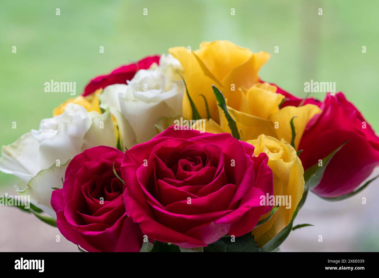 Bunch of multi coloured roses hi-res stock photography and images - Alamy