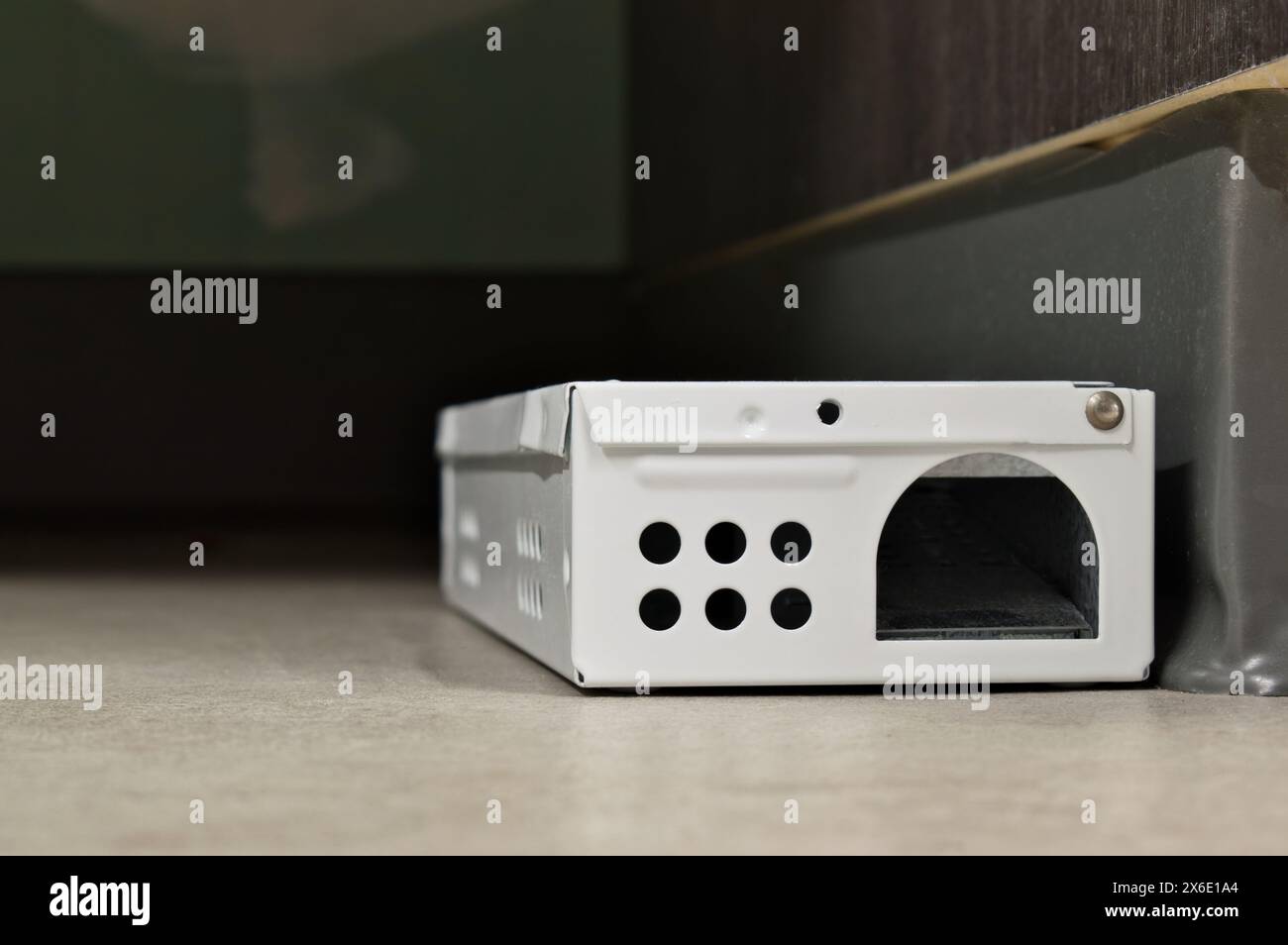 Rodent bait station poison pest control skirting board floor indoors ...