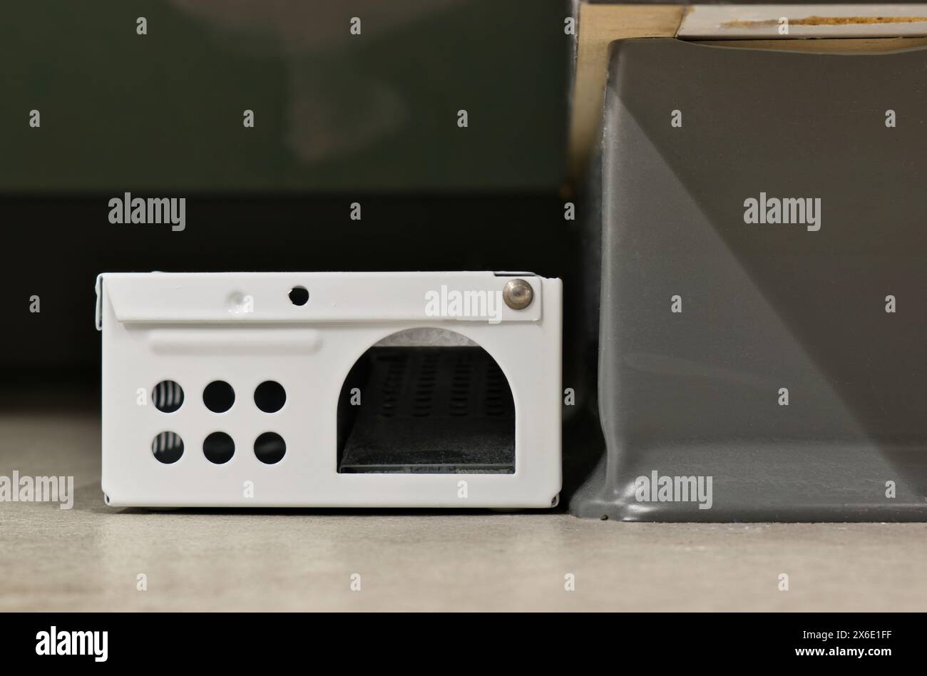 Rodent bait station poison pest control skirting board floor indoors ...