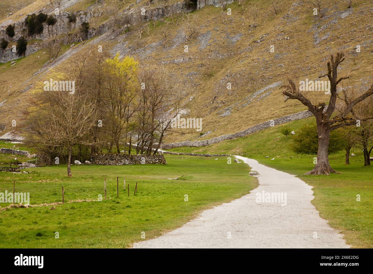The footpath leading to Gordale Scar in Malhamdale, Yorkshire Dales, UK ...