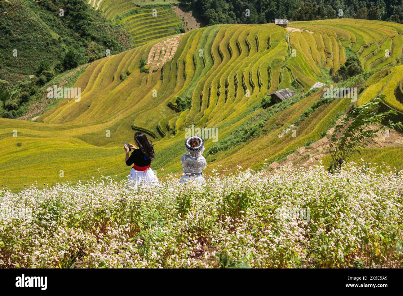 The beautiful rice terraces of Mu Cang Chai, Yen Bai, Vietnam Stock ...