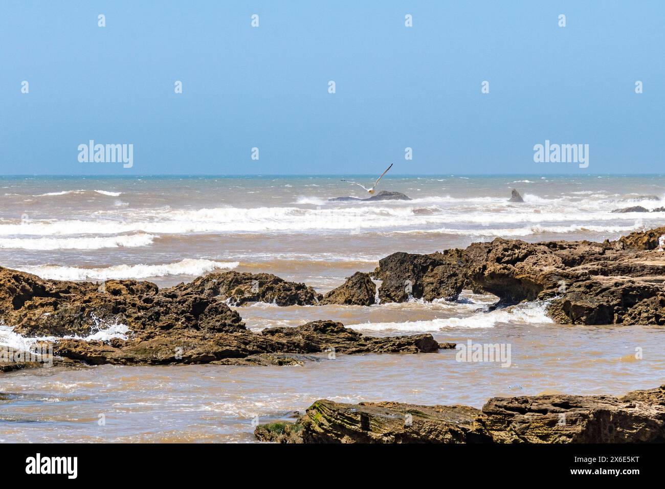 morocco africa essaouira desert sea Stock Photo - Alamy