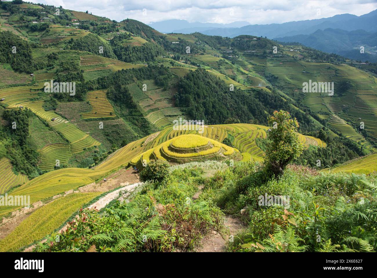 Overlooking the amazing rice terraces of Mu Cang Chai, Yen Bai, Vietnam ...