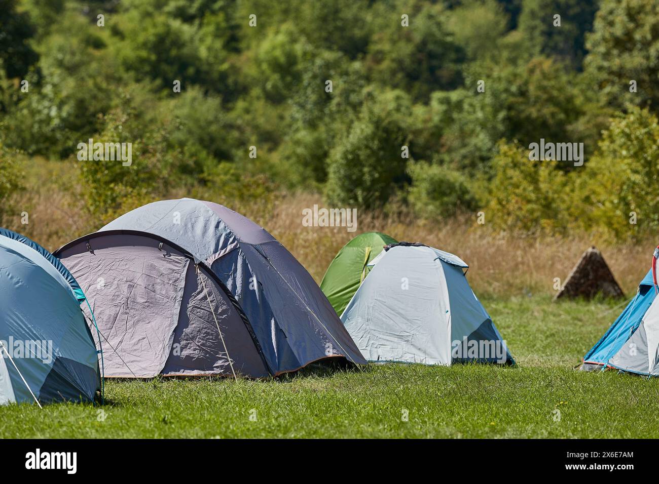 Tents group camping on a meadow Stock Photo - Alamy