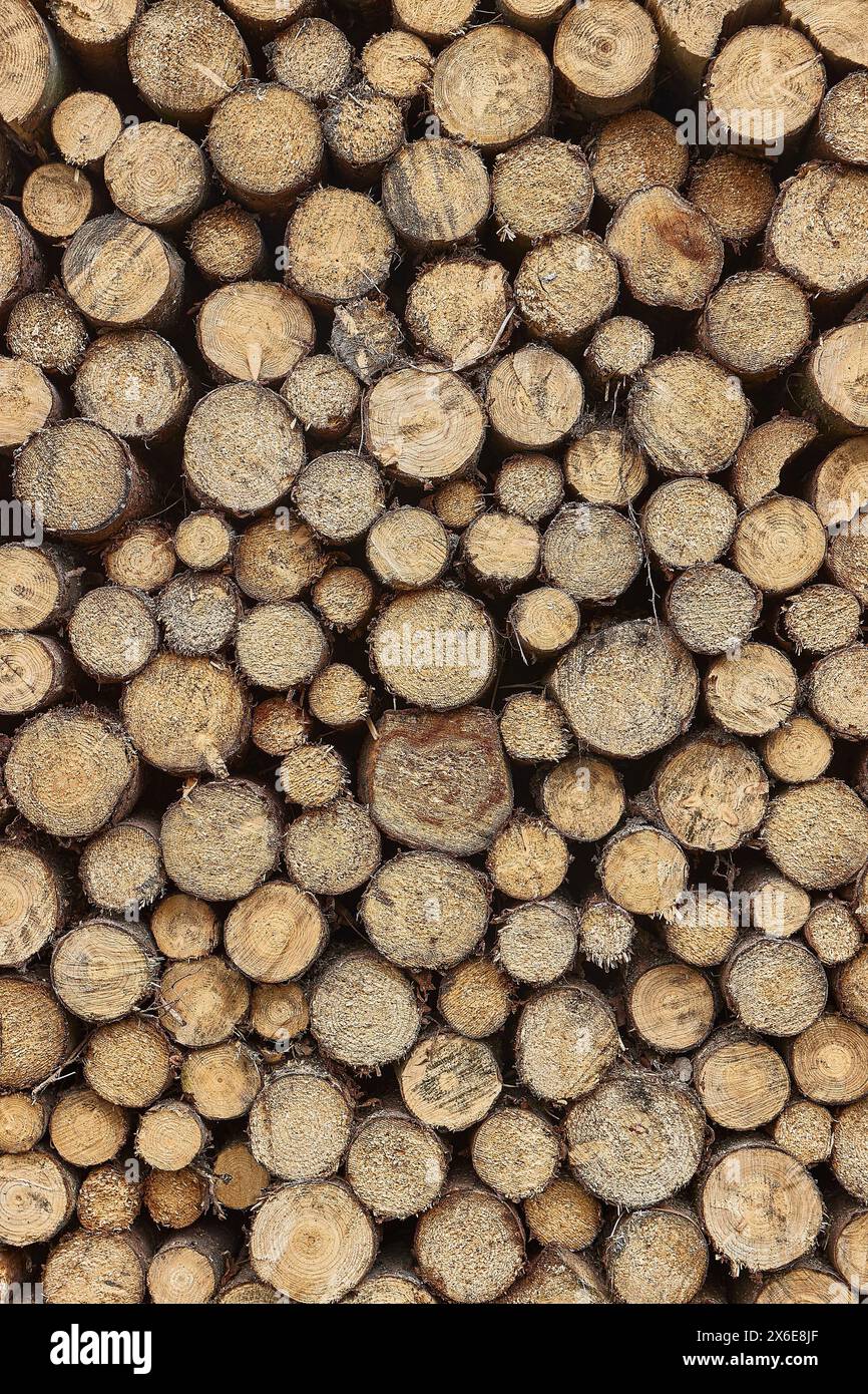 Log wood pile Stock Photo - Alamy