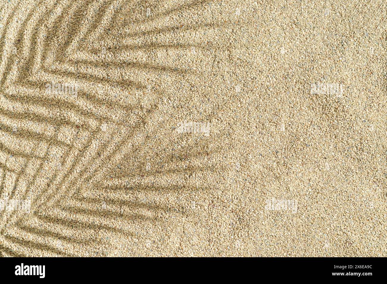 Tropical palm tree leaves shadow on beach sand background. Minimal ...