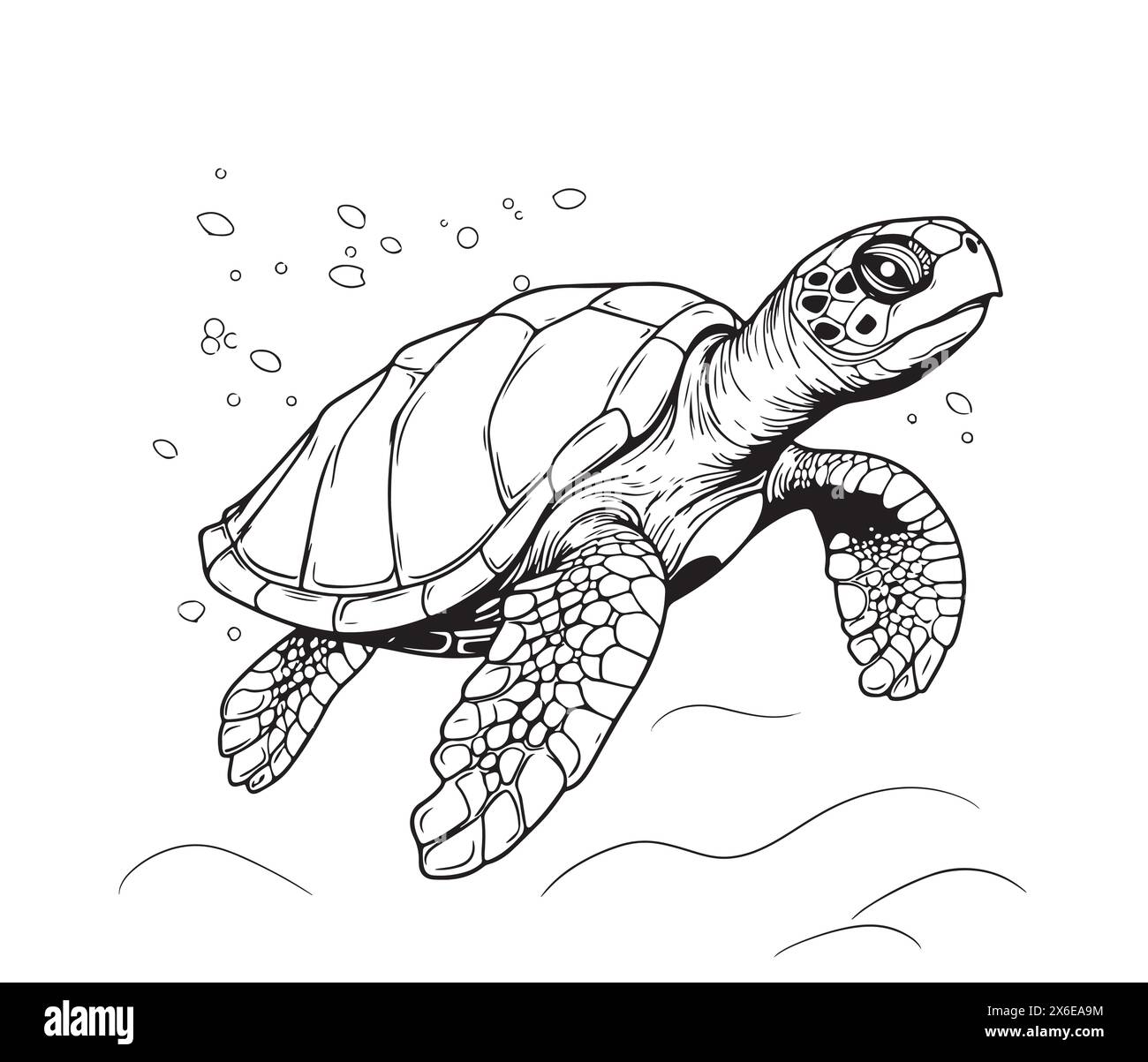 Sea turtle hand drawn engraving style sketch Underwater animals Vector ...