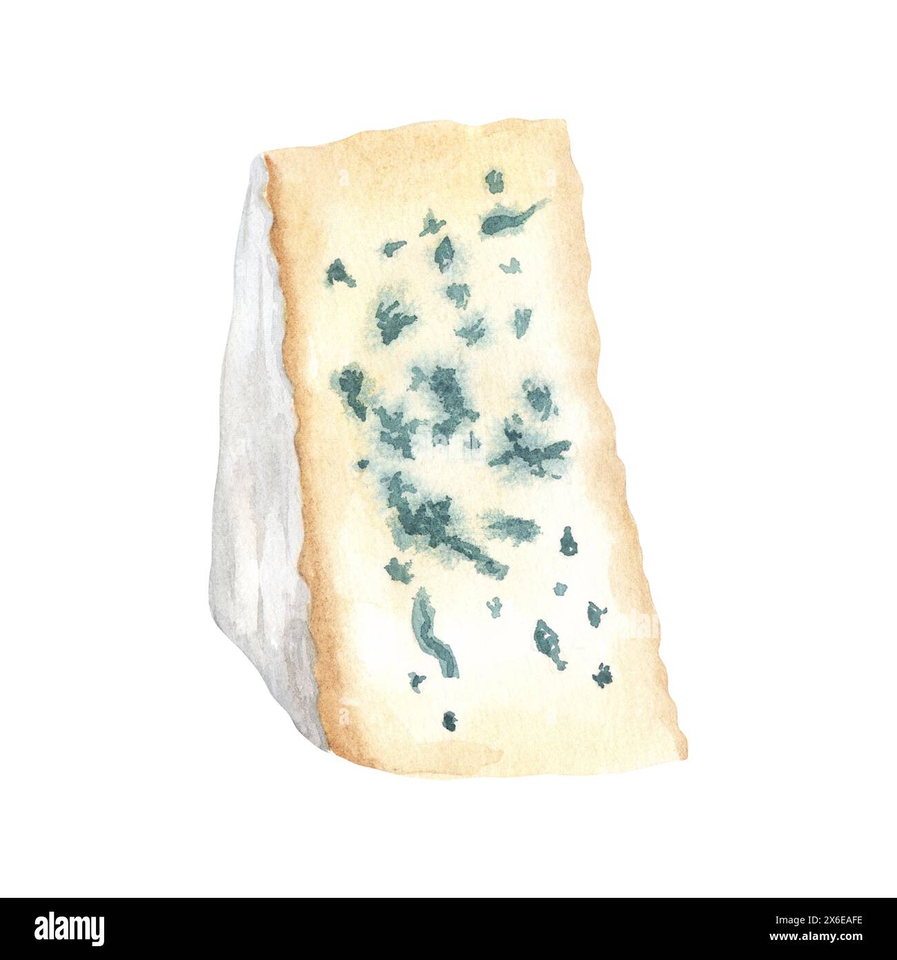 Block of delicious blue cheese mold, soft milk dairy product ...