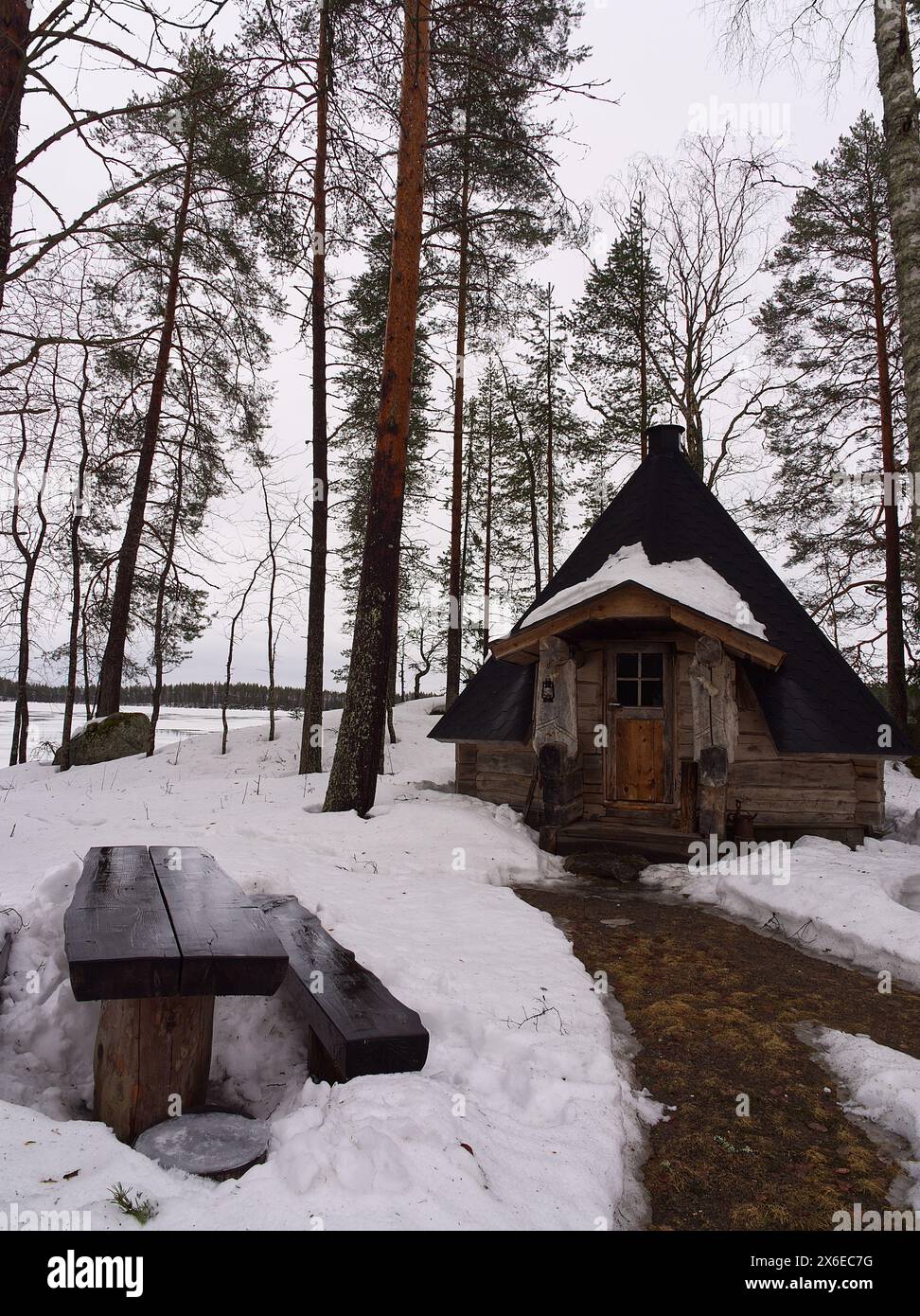 Log backgrounds hi-res stock photography and images - Alamy