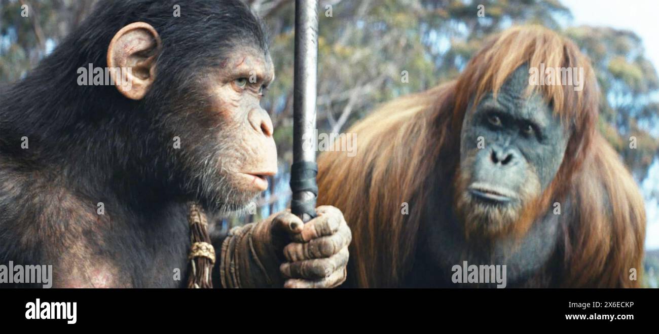 KINGDOM OF THE PLANET OF THE APES 2024 20th Century Studios film with ...