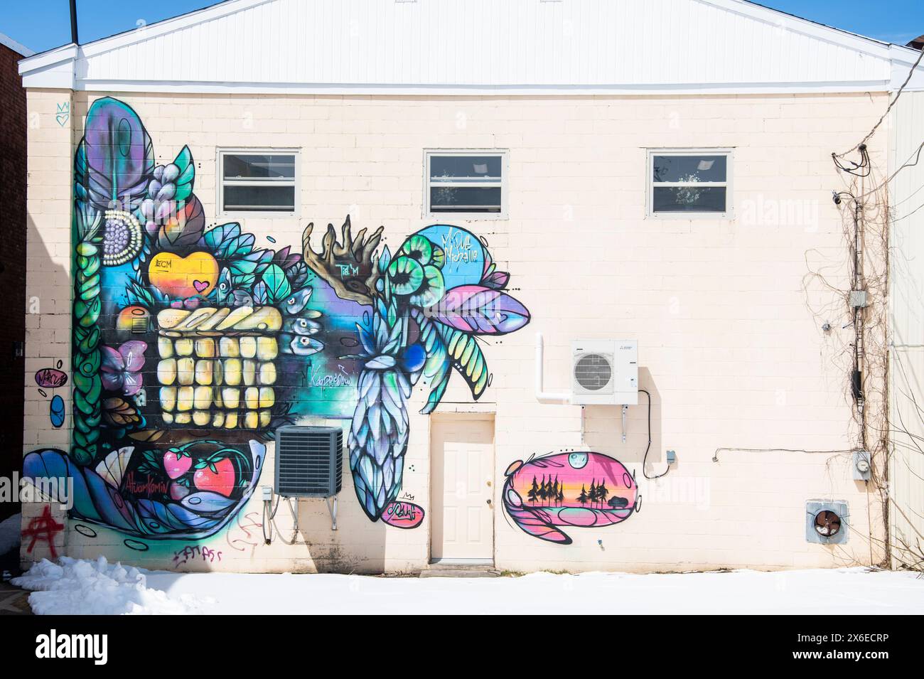 Canada indigenous basket hi-res stock photography and images - Alamy