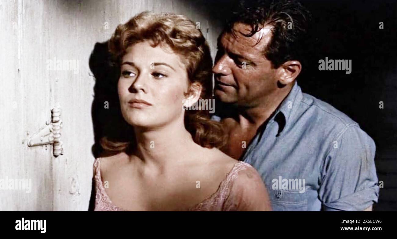 PICNIC 1955 Columbia Pictures film with William Holden as Hal Carter ...