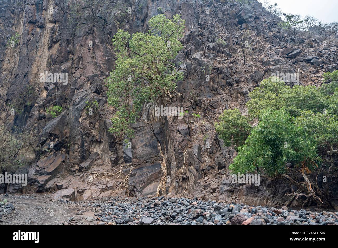 Dry Valley created by a black volcanic rock near the Grand Bara Desert ...
