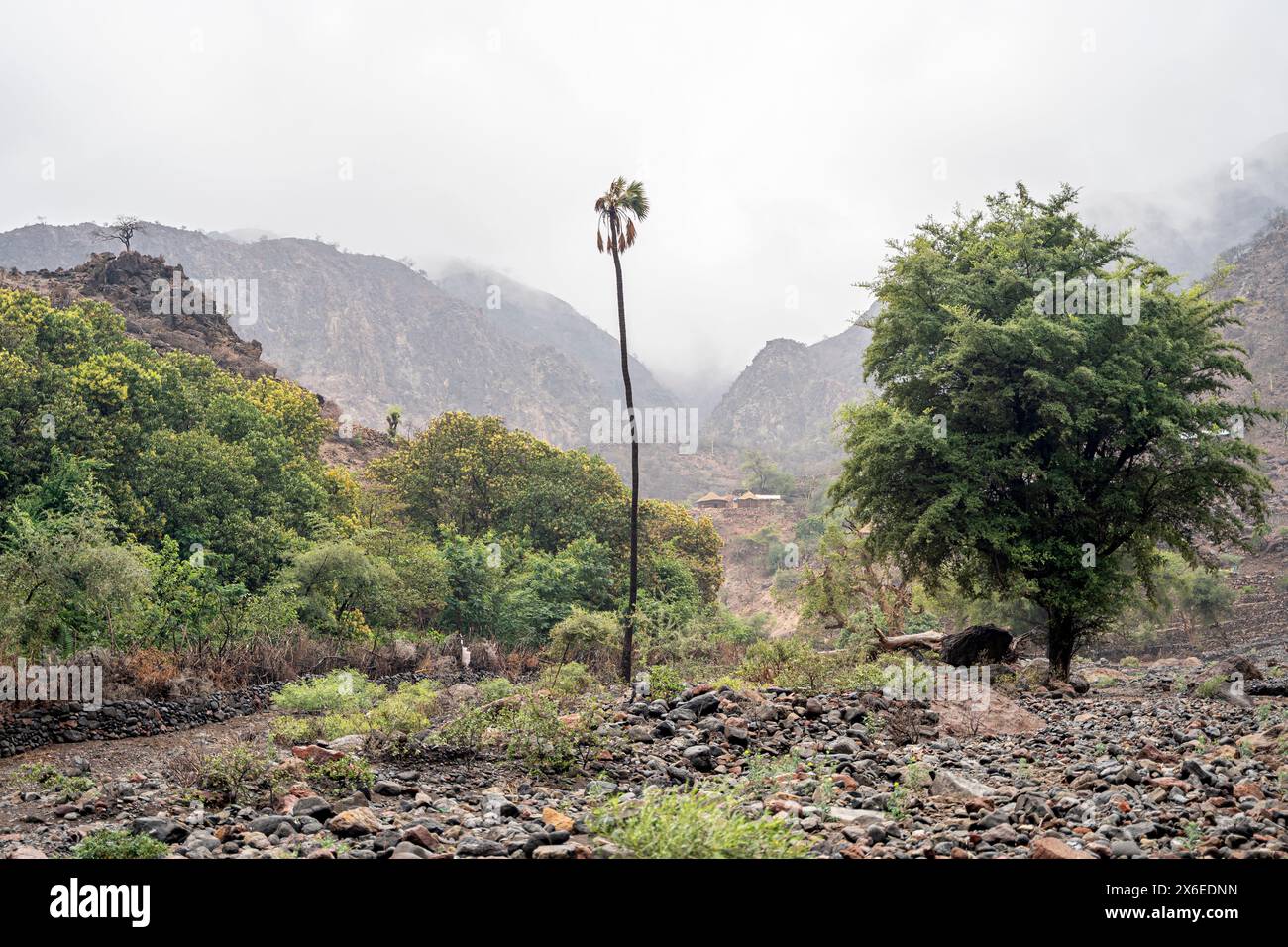 Dry Valley created by a black volcanic rock near the Grand Bara Desert ...