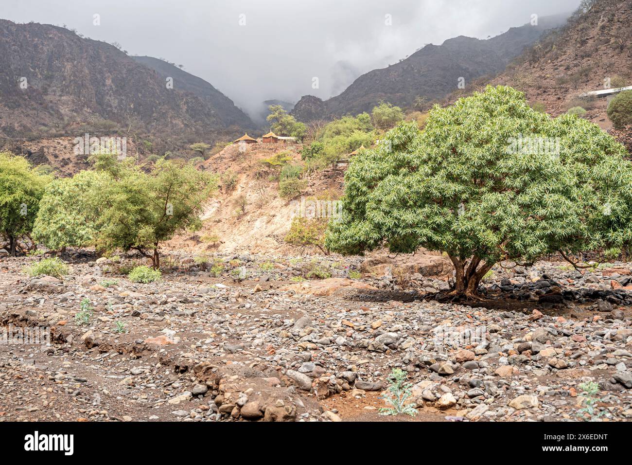 Dry Valley created by a black volcanic rock near the Grand Bara Desert ...