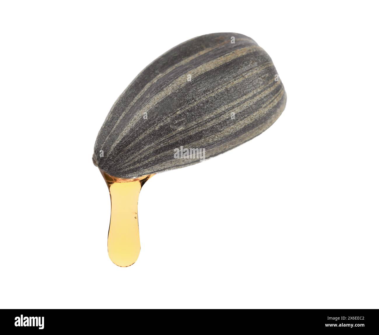 Sunflower seed in husk with oil on white background Stock Photo - Alamy