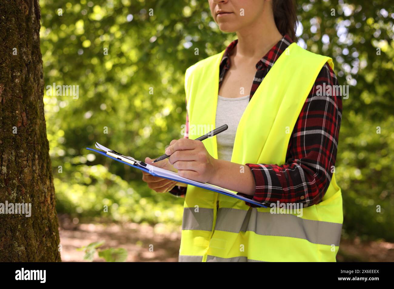 Forester with clipboard and pen examining tree in forest, closeup Stock ...